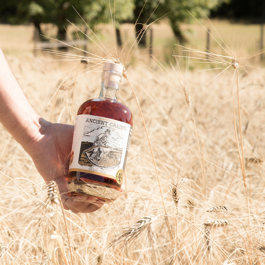 Putting the 'Grain' in 'Ancient Grains' – DEVINE Distillery